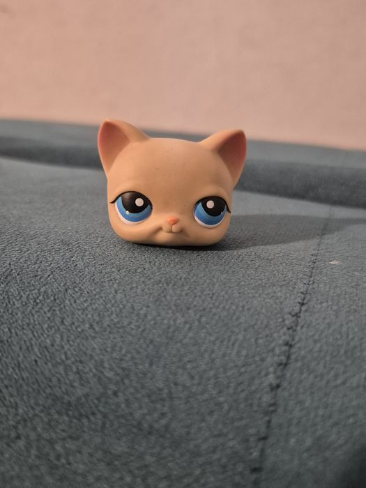 Lps kot kotek shorthair littlest pet shop petshop Tarnowskie Góry • OLX.pl