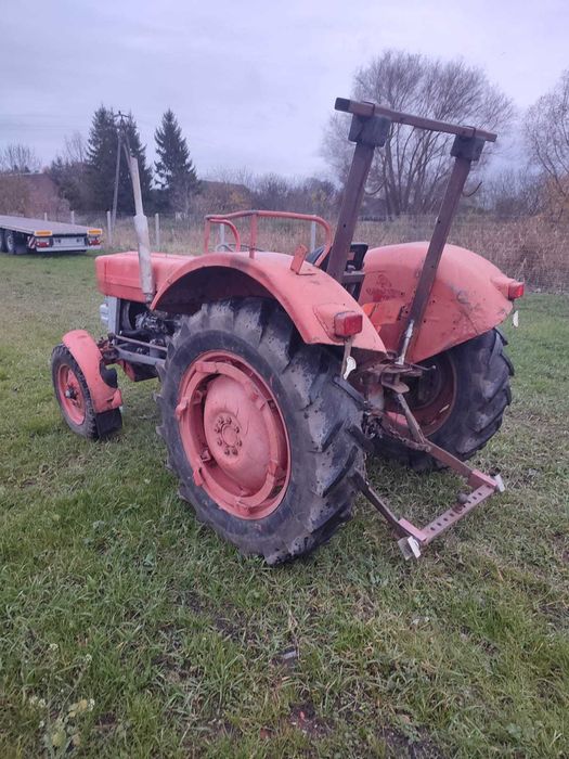 MF 135 ursus c330 ursus c360 Massey Ferguson 255 Chojna • OLX.pl