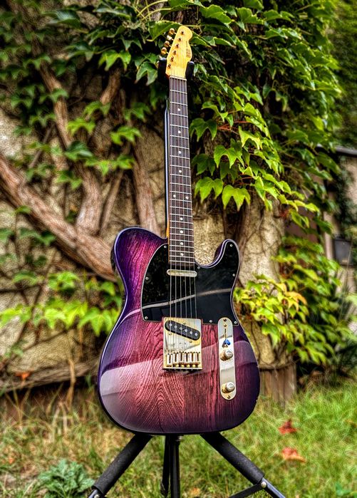 Gitara elektryczna ESP Telecaster T-800 Japan - unikat! Warszawa ...