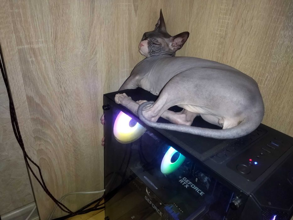 Компьютер. Системный блок ^^Cyberpunk GOLIATH^^: 28 000 грн ...