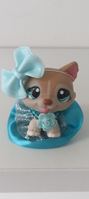 Piesek LPS w ubranku Tarnów • OLX.pl