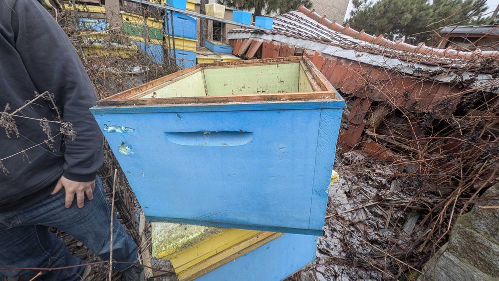 Ule dadanta styrodur Kompletne, uzywane Radwanice • OLX.pl