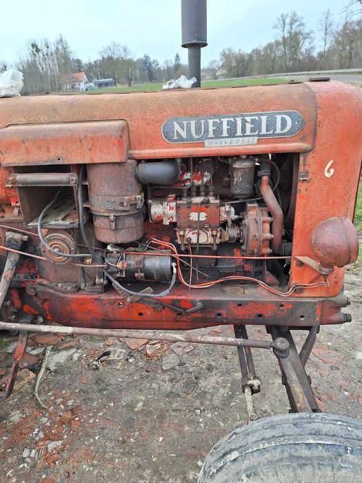 Ciagnik -Nuffield Universal Jabłonowo Pomorskie • OLX.pl