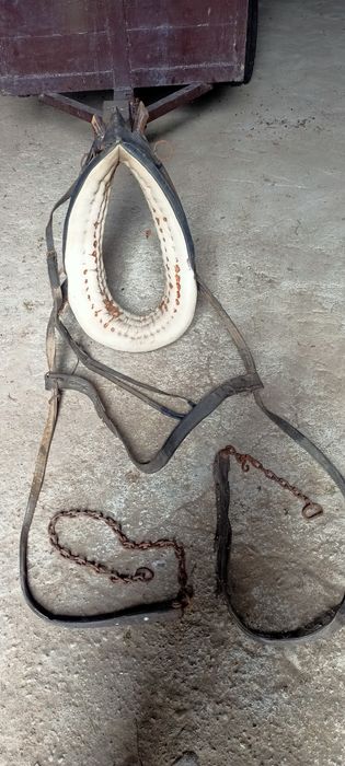 Homonto Dla Konia - OLX.pl