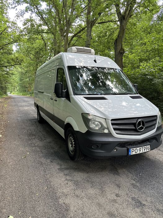 Mercedes Sprinter Max 2016 Chlodnia Mroznia Izoterma Stargard • OLX.pl