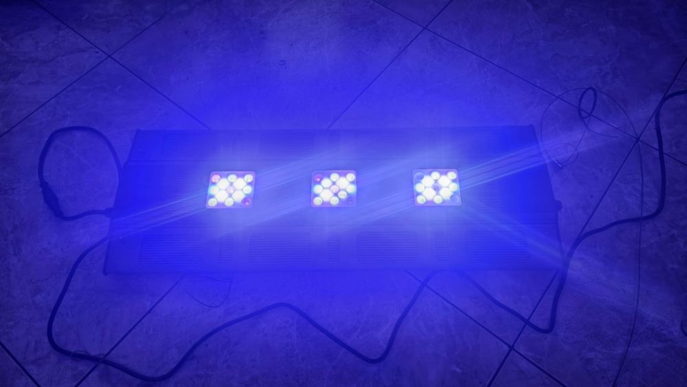 Akwarium morskie Lampa Maxspect Razor R420R 180W Podlipie • OLX.pl