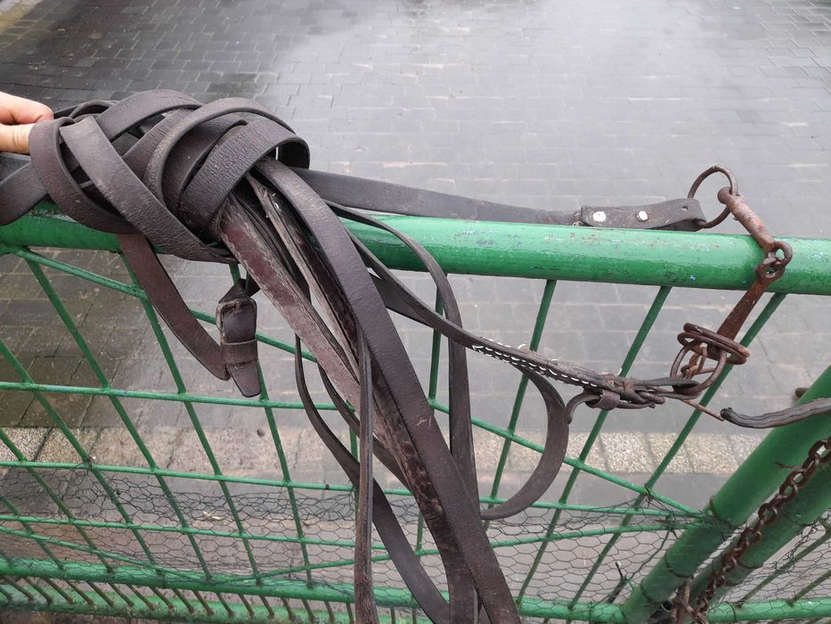 Uprząż konna, puszorek, lejce, naszelnik Tomaszów Lubelski • OLX.pl