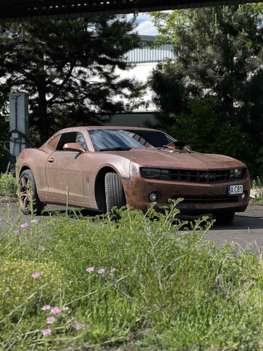 Camaro rat zamiana Milanówek • OLX.pl
