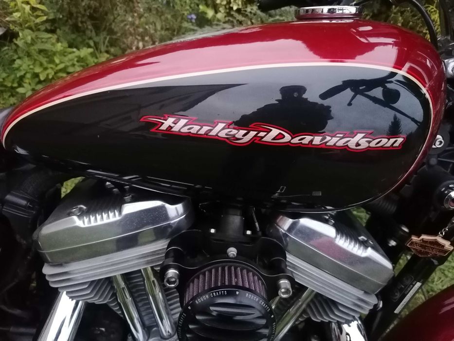 Harley-Davidson ZAMIANA NA BUSA VW T5 T6 Biadoliny Szlacheckie • OLX.pl