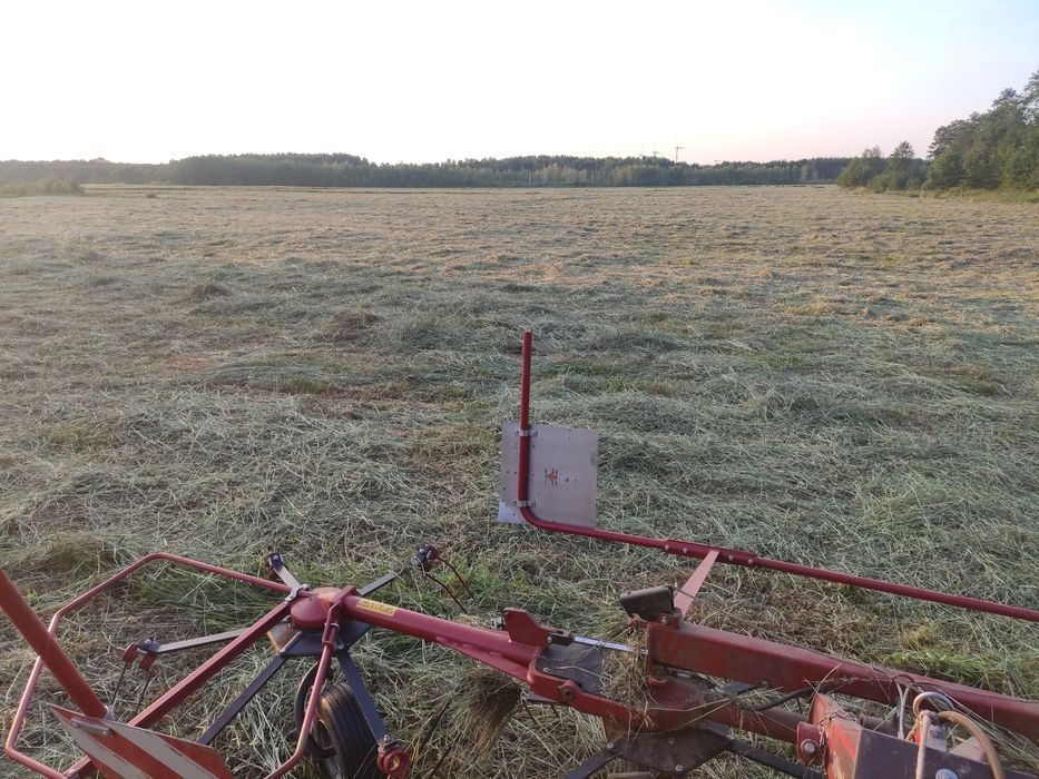 Siano w belach, balotach 120X120! Transport! Słupsk • OLX.pl