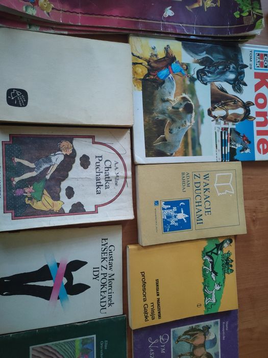 Książki: lektury,bajki,psy,konie Wałbrzych • OLX.pl