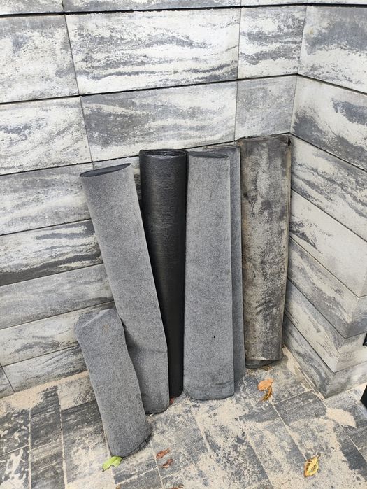 Papa. Rolki. Kilka Wilcze Gardło • OLX.pl