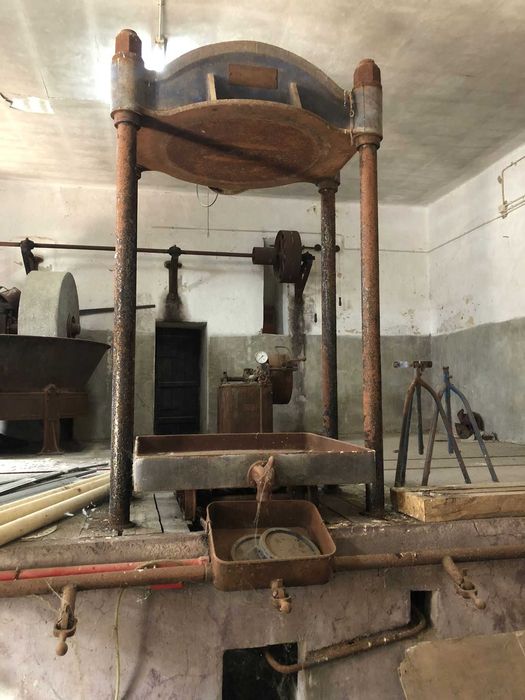 Lagar de azeite antigo Rio Maior • OLX Portugal