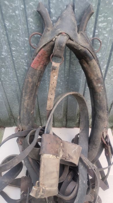 CHOMĄTO homonto RARYTAS uprząż chomątowa bryczka wóz Tomaszów ...