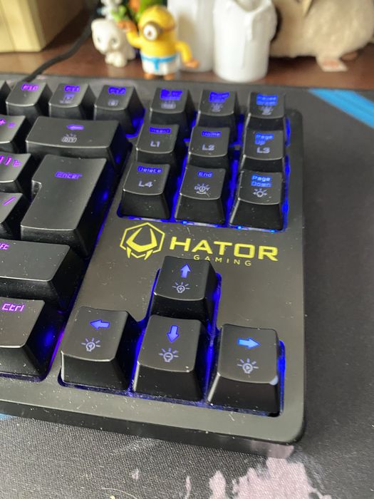 Клавиатура hator ROCKFALL tkl black свитчи: 1 020 грн. - Периферійні пристрої Кропивницький на Olx