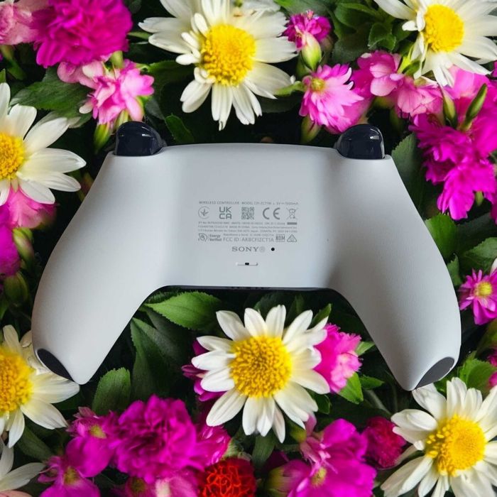 Comando PS5 Novo Benfica • OLX.pt