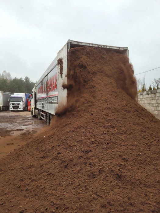 Dla Ciebie wszystko - sprawdź nowe oferty!