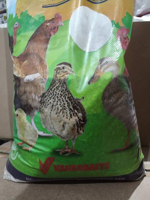 VANROBAEYS Karma dla kur bażantów pawi przepiórek kaczek nr67 20kg ...