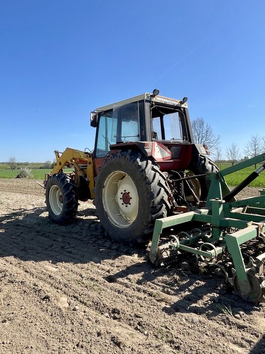 International 955 ihc case Zychorzyn • OLX.pl