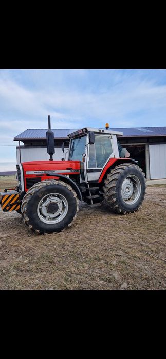 Massey ferguson 3650 Dołhobyczów • OLX.pl