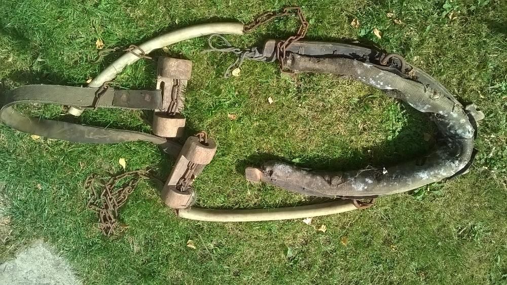 Chomąto dla wołu, Chomonto, Homonto, Homąto uprząż dla wołu Kluczbork ...