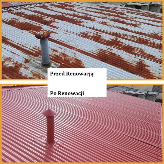 Malowanie, Dachu, Dachów, Mycie, Ogrodzenia, Hale, Rynny, Komin, Płoty ...
