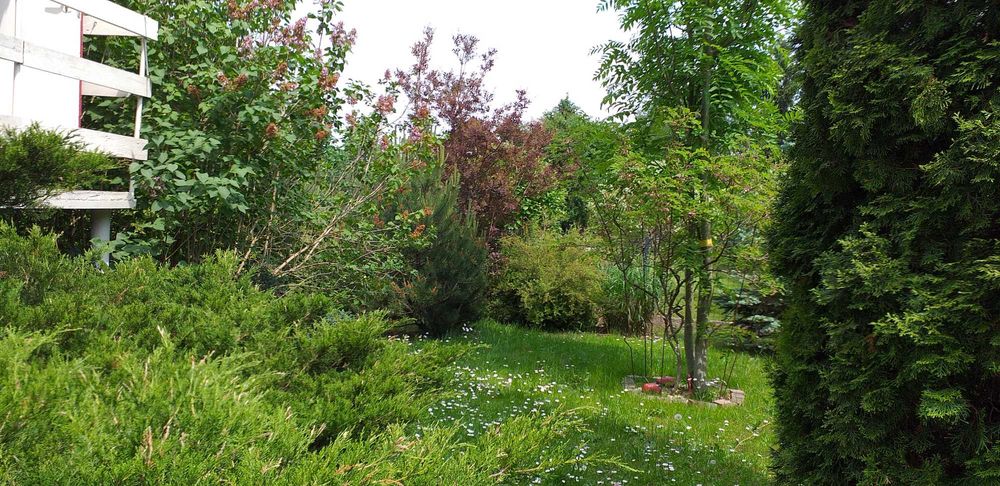 Działka ROD w Białymstoku przy ul. Ciołkowskiego 2, 346m2 Białystok ...