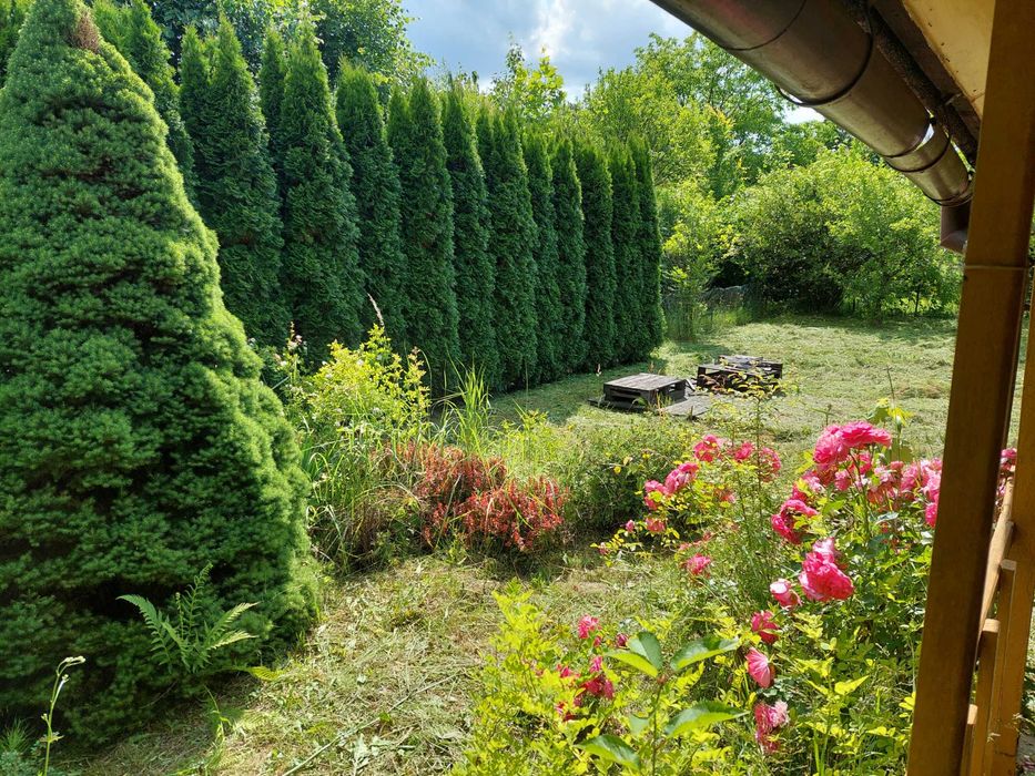 Ogródek dzialkowy ROD 3a Krzeszowice • OLX.pl