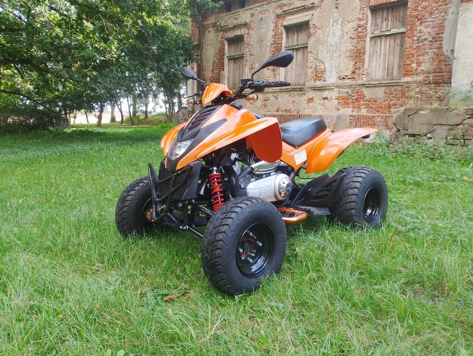 Quad Dinli 300 rok 2011 Homologacja L7e 8KW super stan z Niemiec ...