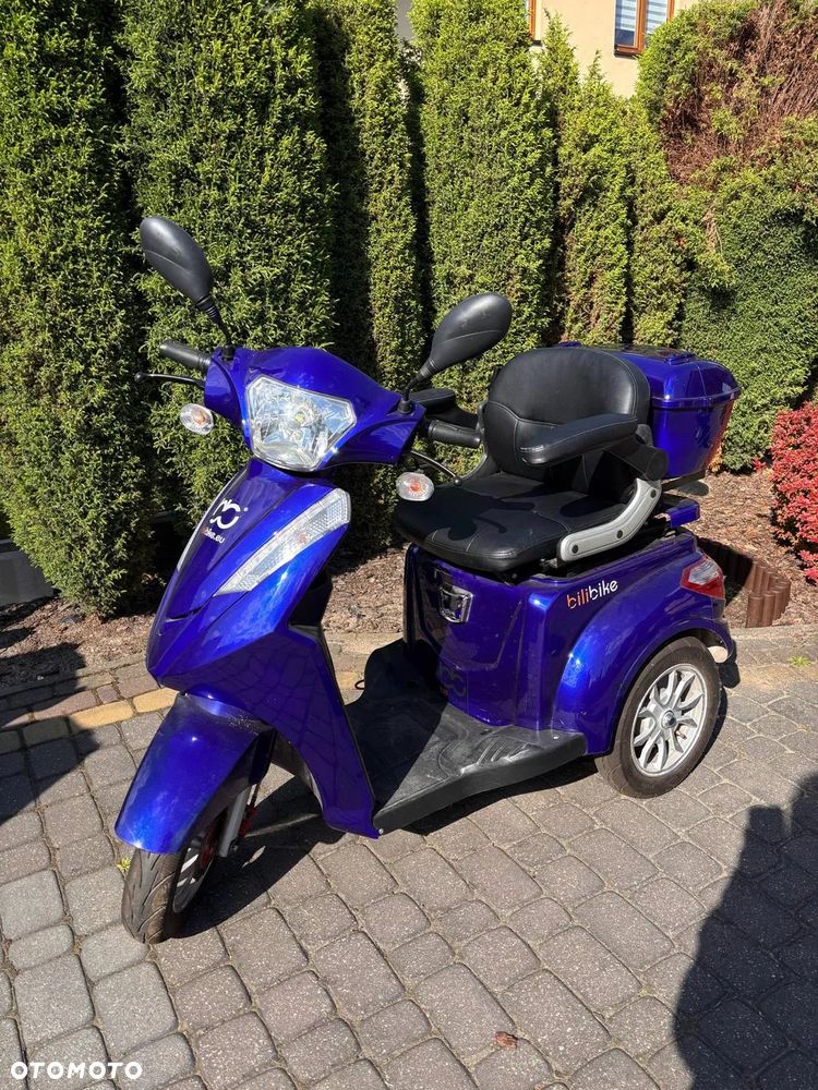 Używany Bili Bike Inny 2021 - 6 500 PLN - Otomoto.pl