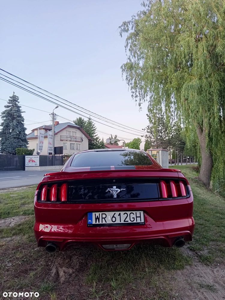 Używany Ford Mustang 2015 - 79 500 PLN, 91 200 km - Otomoto.pl