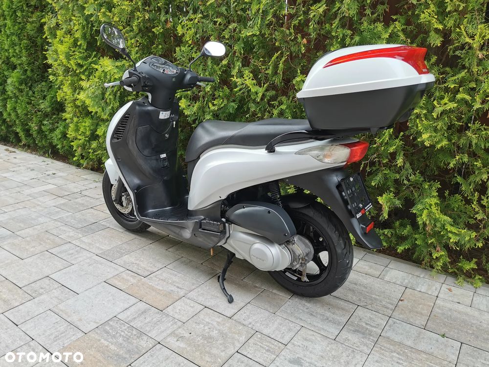 Używany Honda PES 2010 - 5 390 PLN - Otomoto.pl