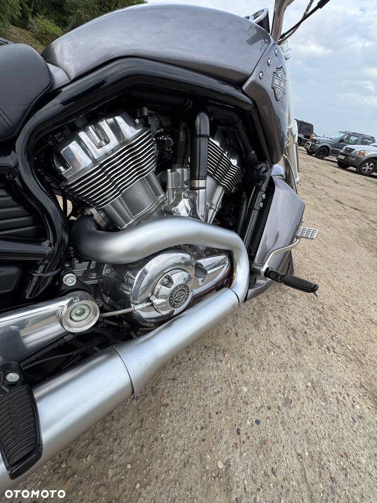 Używany Harley-Davidson V-Rod Muscle 2014 - 57 400 PLN - Otomoto.pl