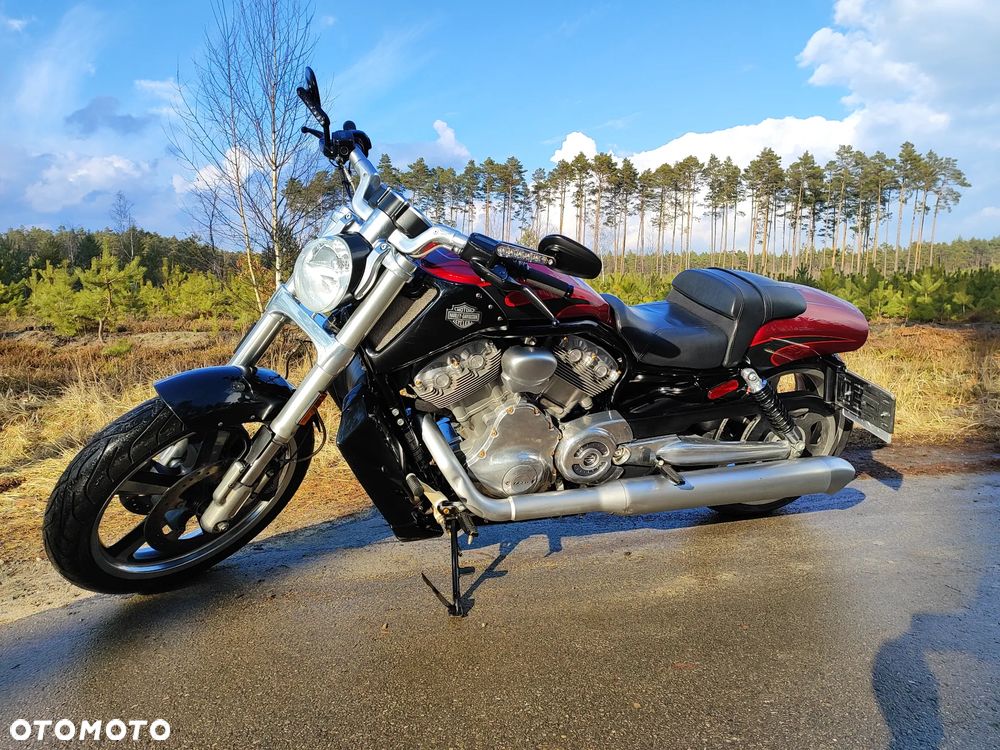 Używany Harley-Davidson V-Rod Muscle 2016 - 57 000 PLN - Otomoto.pl