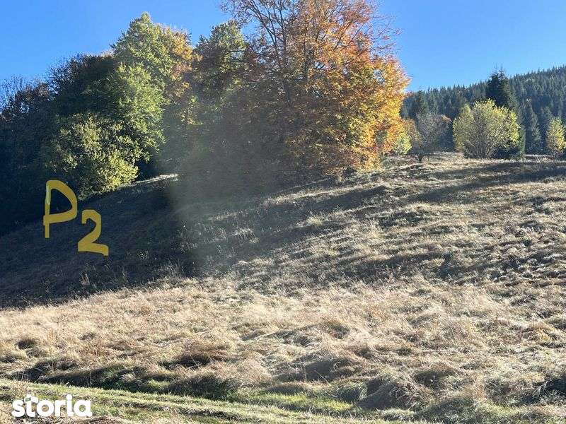 4 550 m², teren de vanzare - Cluj (judet), Lunca Visagului - 9035745 ...