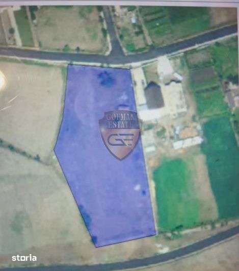 5 550 m², teren de vanzare - Constanta (judet), Nazarcea - 10362186 ...