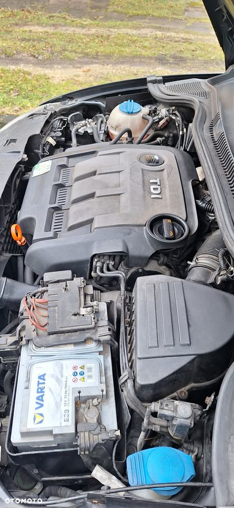 Używany Seat Ibiza 2011 - 8 900 PLN, 178 000 km - Otomoto.pl