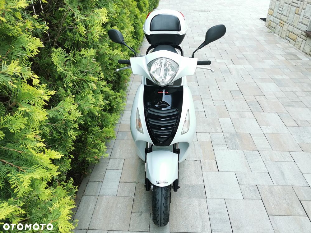 Używany Honda PES 2010 - 5 390 PLN - Otomoto.pl
