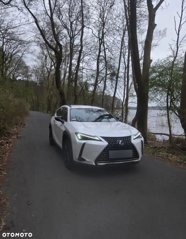Używany Lexus UX 2021 - 158 670 PLN, 66 000 km - Otomoto.pl