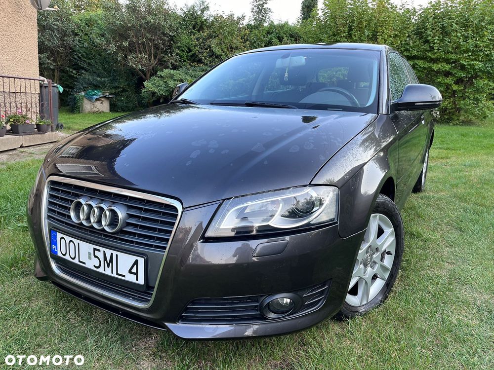 Używany Audi A3 2008 - 19 999 PLN, 185 000 km - Otomoto.pl