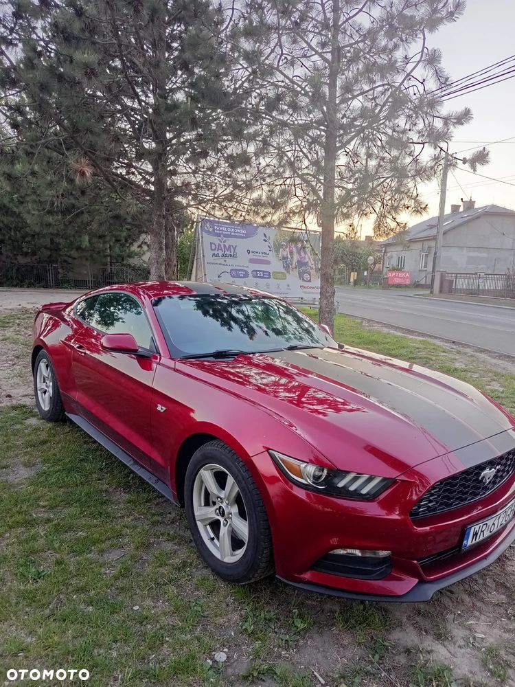 Używany Ford Mustang 2015 - 79 500 PLN, 91 200 km - Otomoto.pl