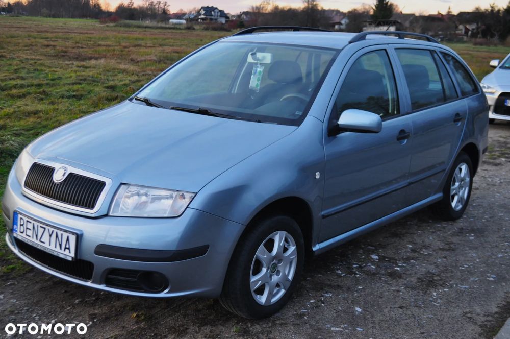 Używany Skoda Fabia 2006 - 8 900 PLN, 172 000 km - Otomoto.pl
