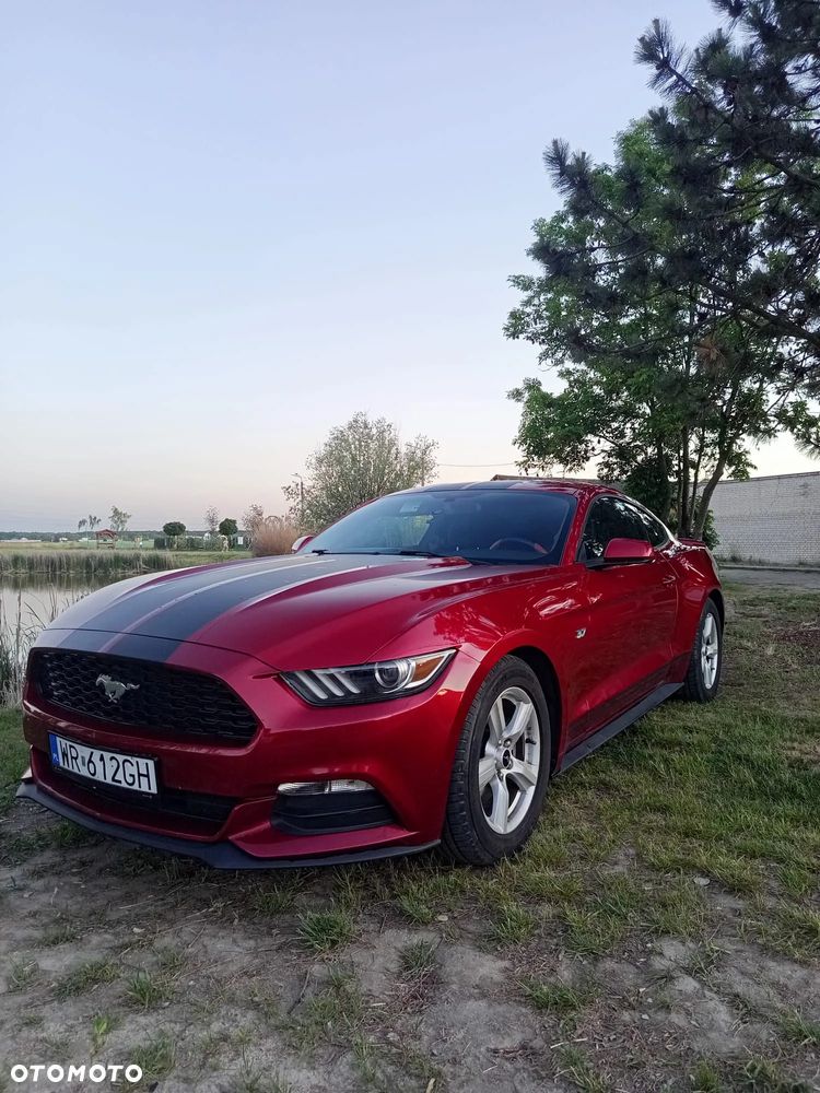 Używany Ford Mustang 2015 - 79 500 PLN, 91 200 km - Otomoto.pl
