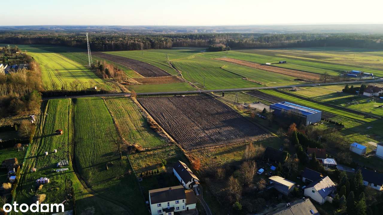 23 000 m², działka na sprzedaż - Sierakowice, gliwicki, śląskie ...