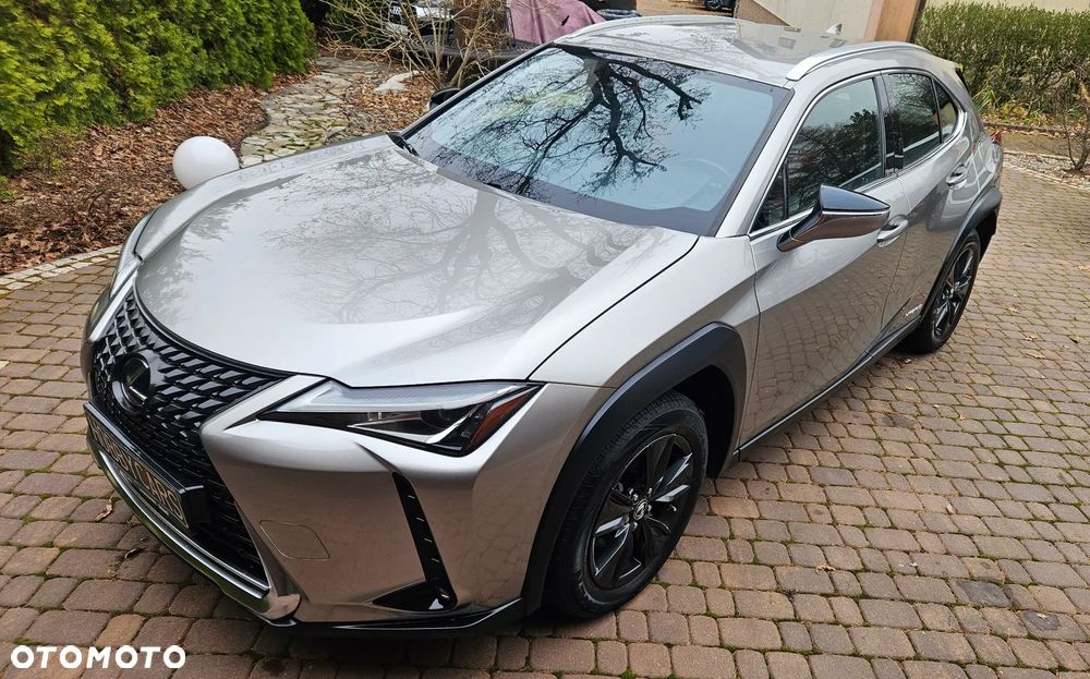 Używany Lexus UX 2021 - 118 900 PLN, 37 566 km - Otomoto.pl