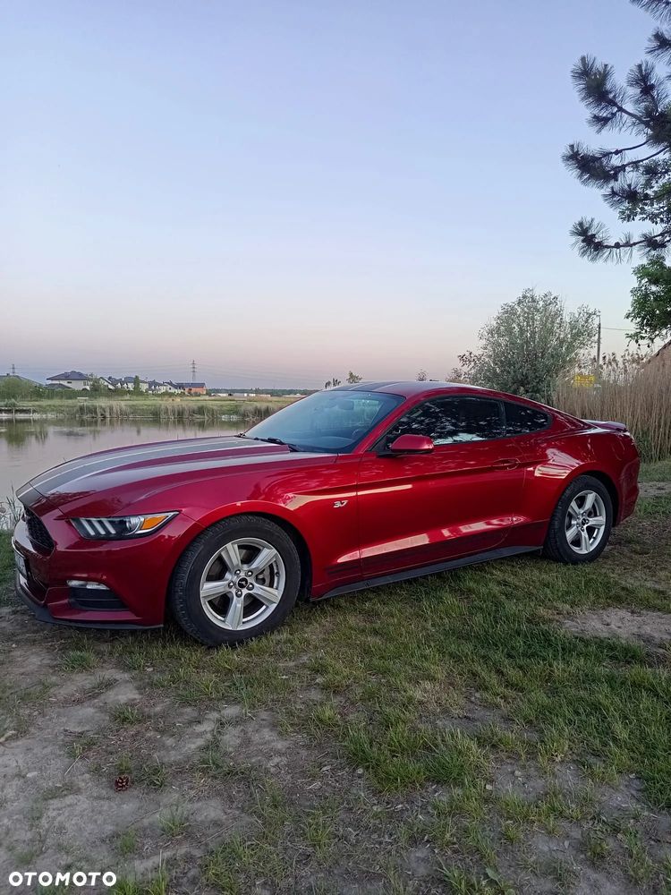 Używany Ford Mustang 2015 - 79 500 PLN, 91 200 km - Otomoto.pl