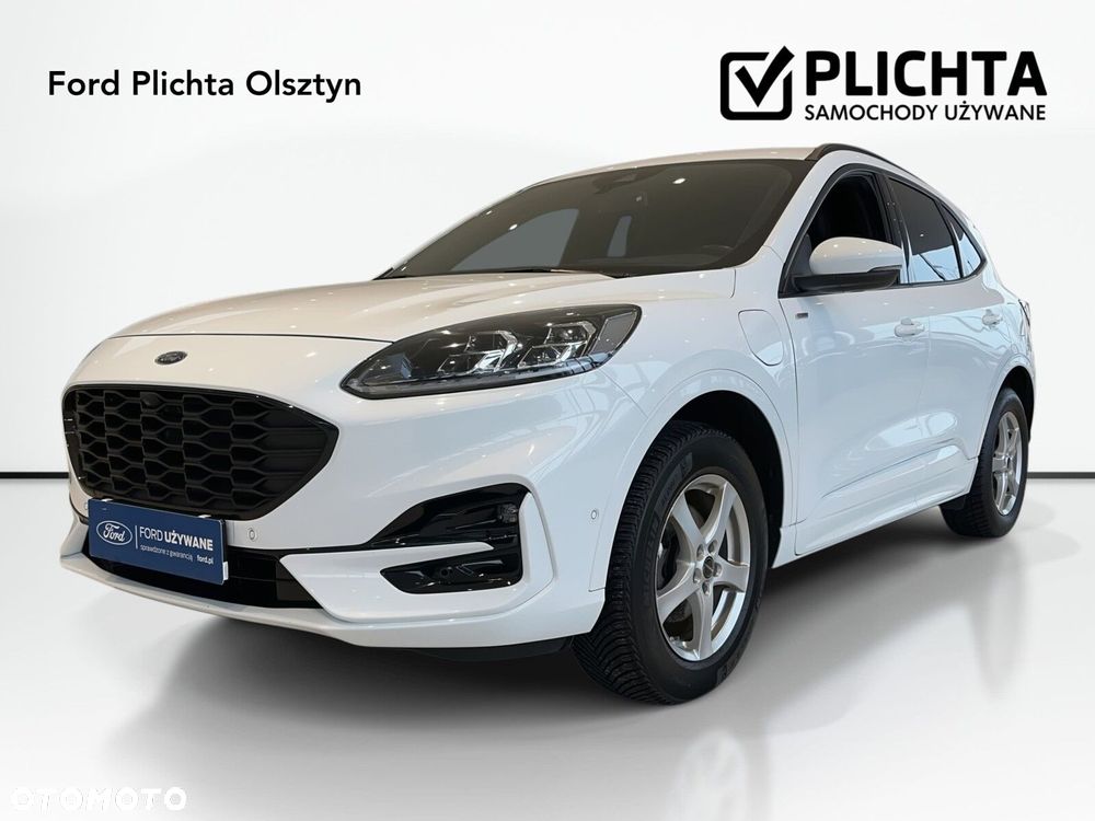 Plichta Samochody Używane Olsztyn | OTOMOTO
