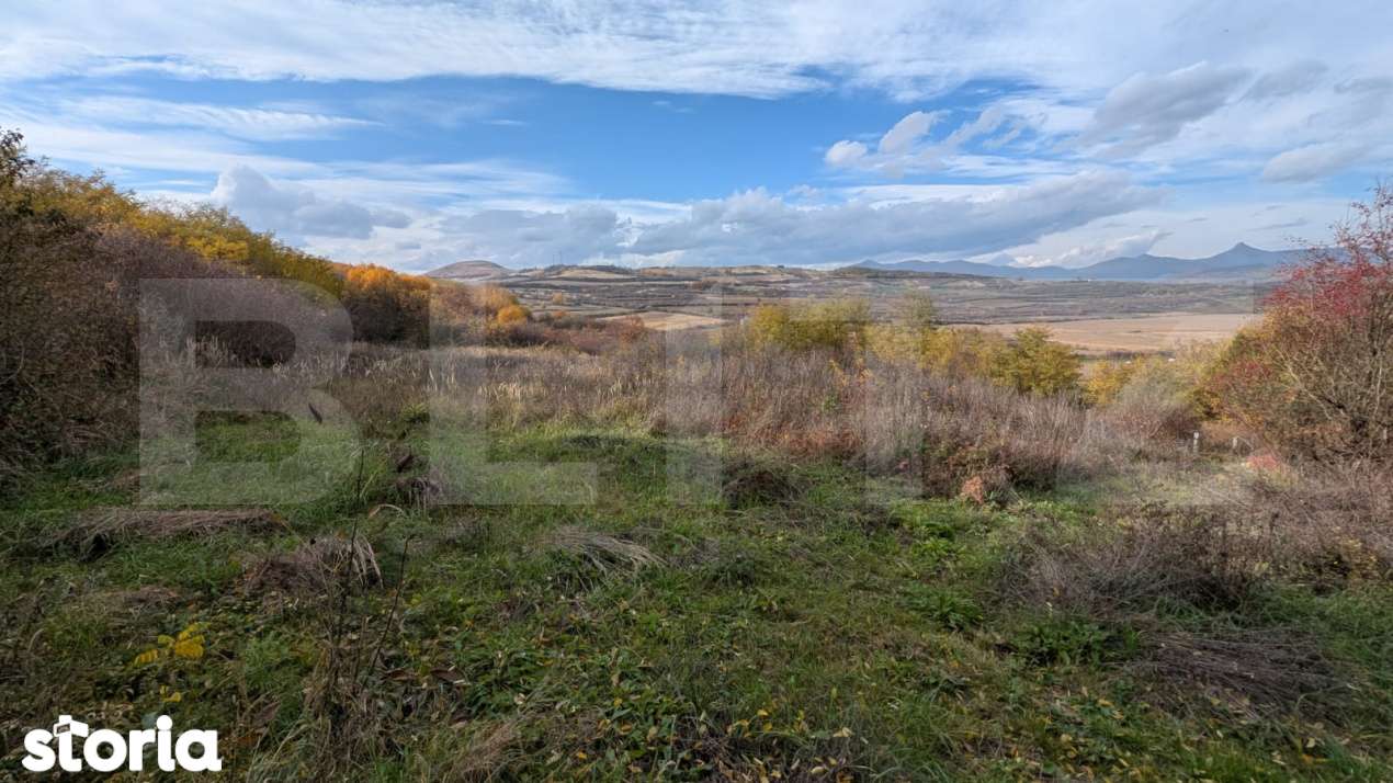 1 000 m², teren de vanzare - Alba (judet), Sard - 9985688 • www.storia.ro