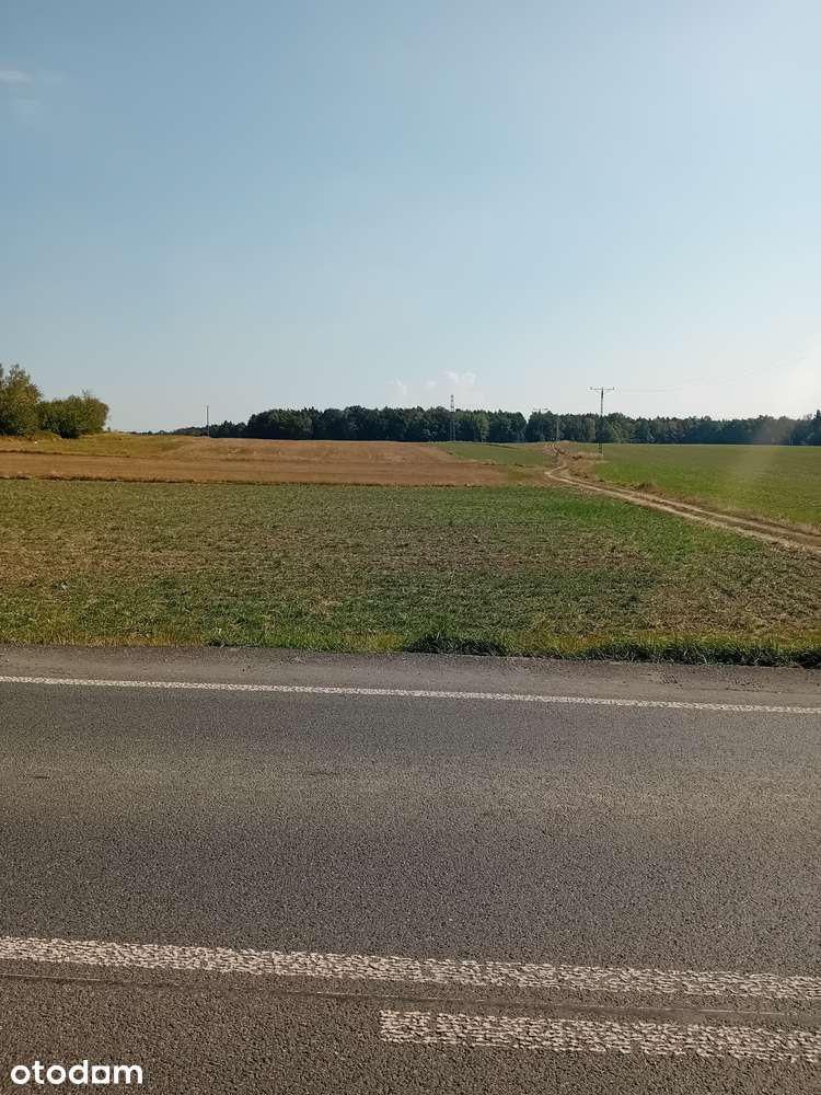 23 000 m², działka na sprzedaż - Sierakowice, gliwicki, śląskie ...