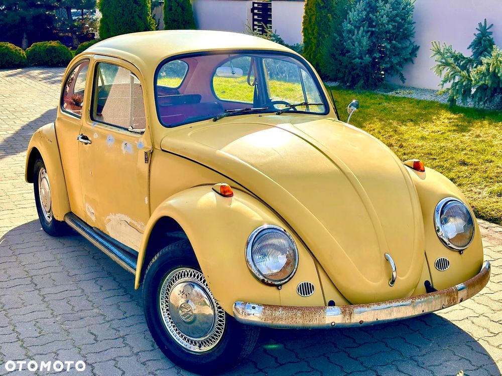 Używany Volkswagen Garbus 1966 - 19 700 PLN, 28 000 km - Otomoto.pl